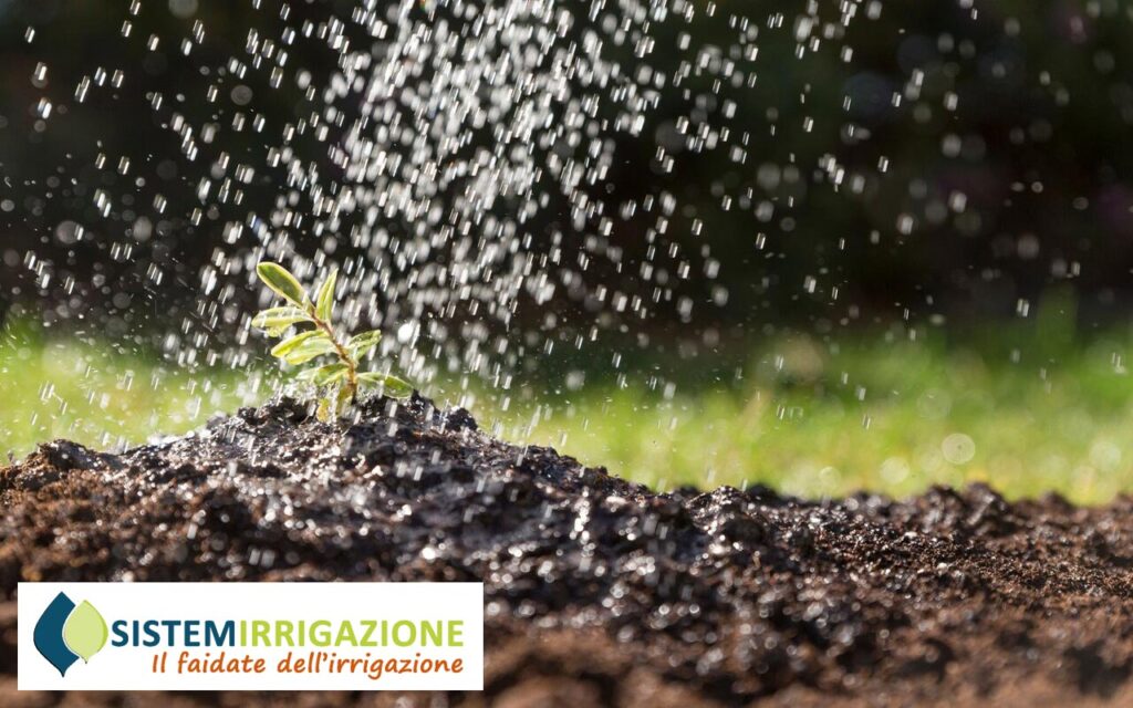 Irrigazione fai da te: guida facile all’impianto a goccia (5 passi)